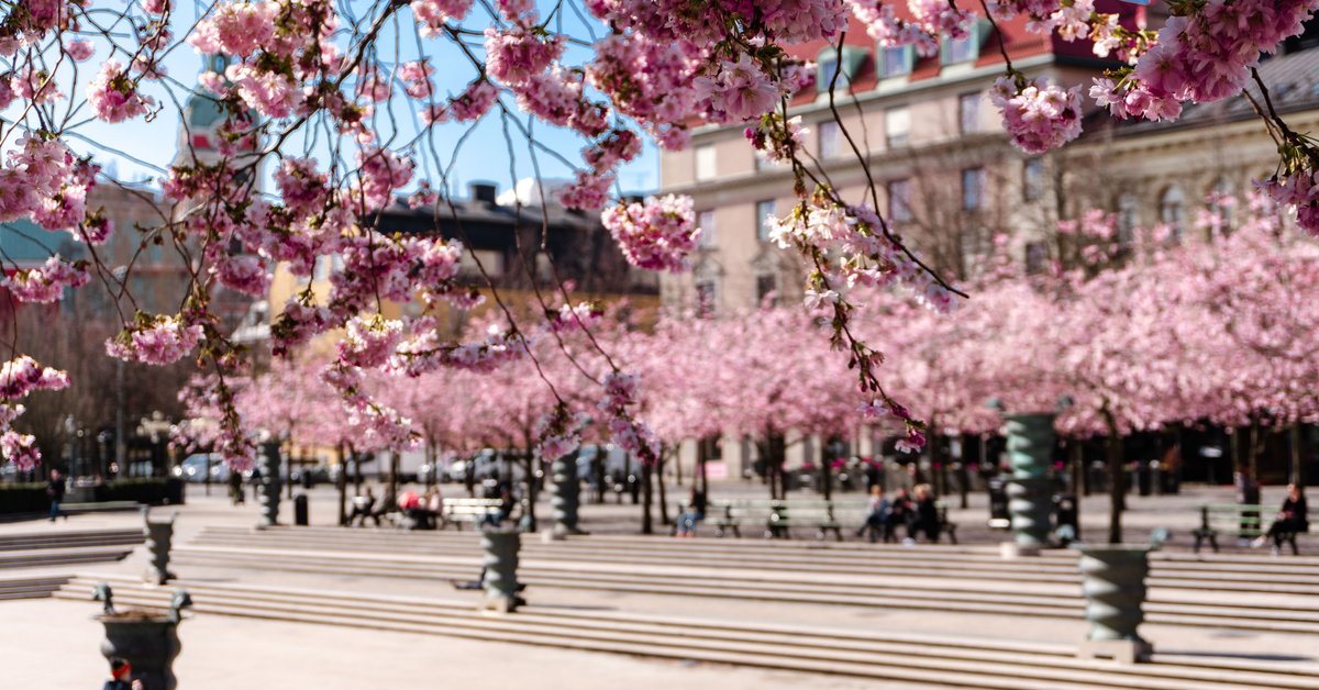 Springtime in Stockholm – Visit Stockholm