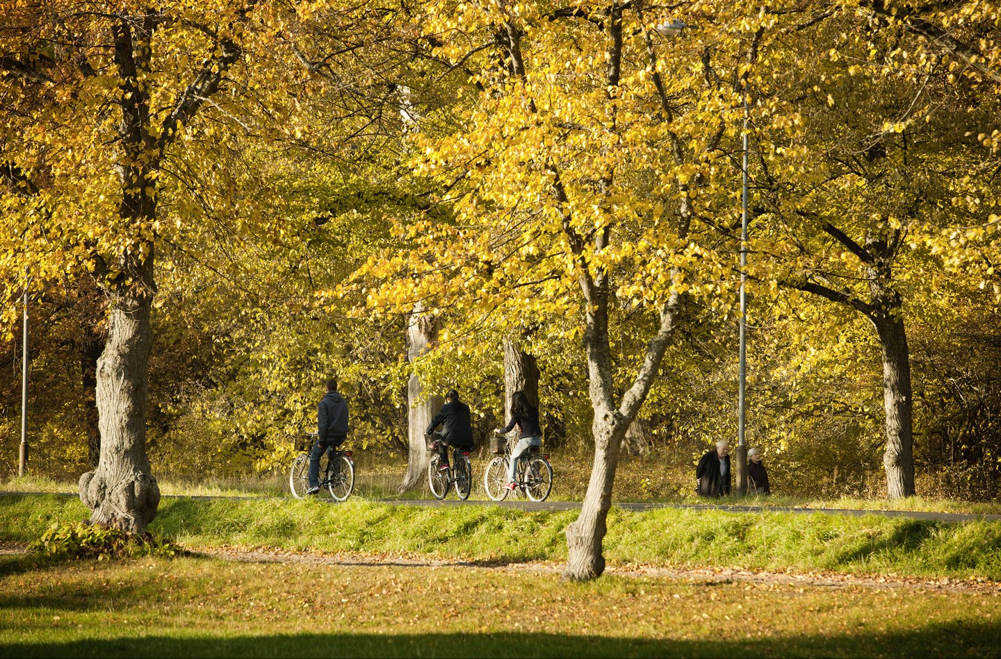 Parks in Stockholm - Guide to the best parks - Visit Stockholm