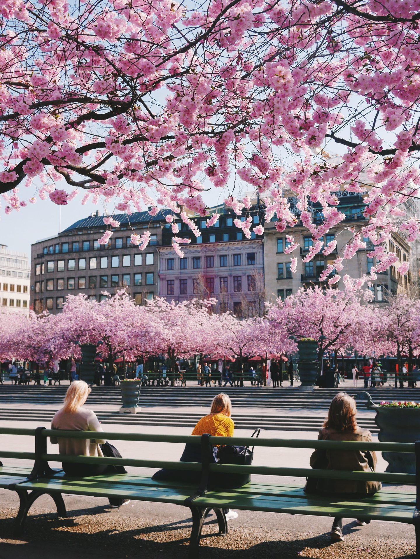 Springtime in Stockholm – Visit Stockholm