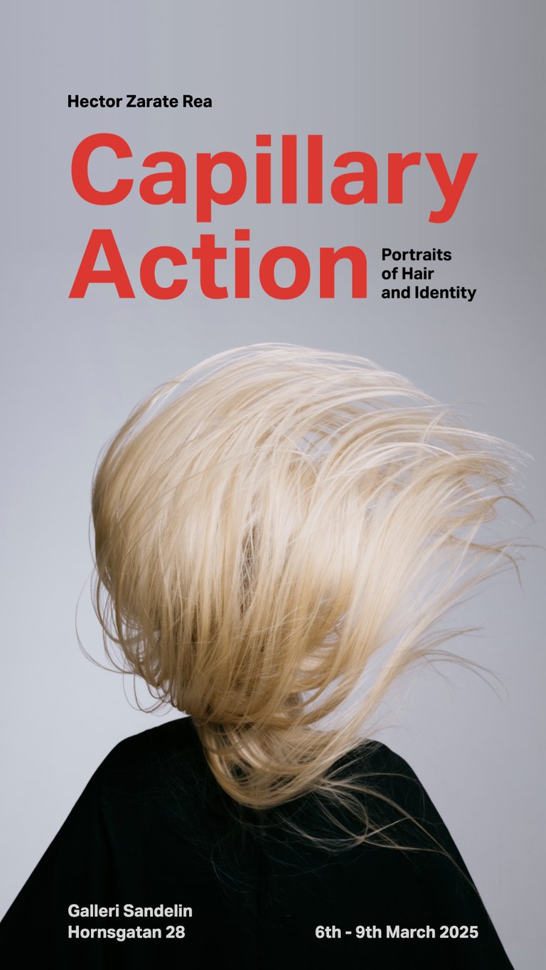 Photo Exhibition: Capillary Action, Portraits of Hair and Identity ...