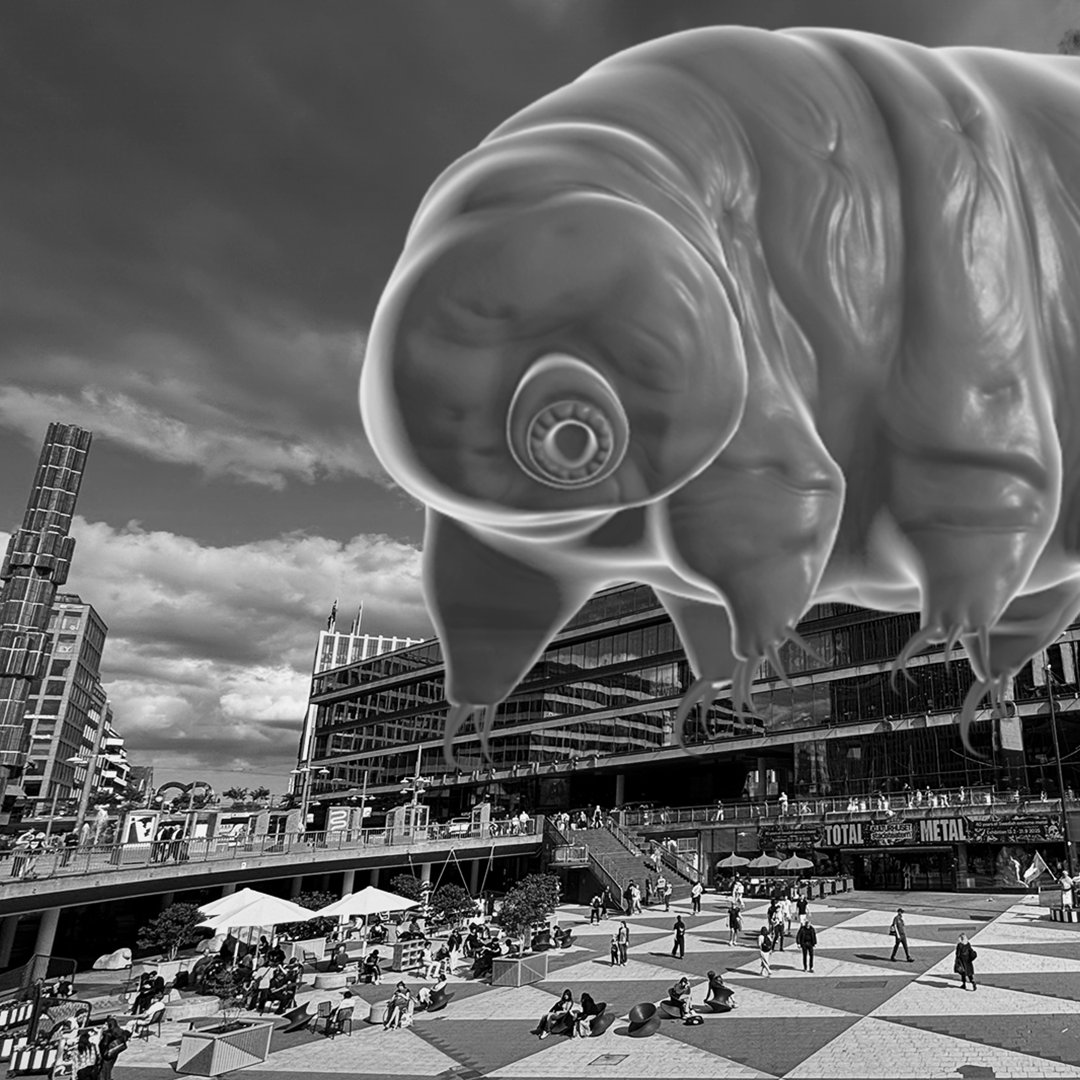 SLOW WALKER - Visit Stockholm